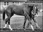 Secretariat and Remembering The X Factor of His Success