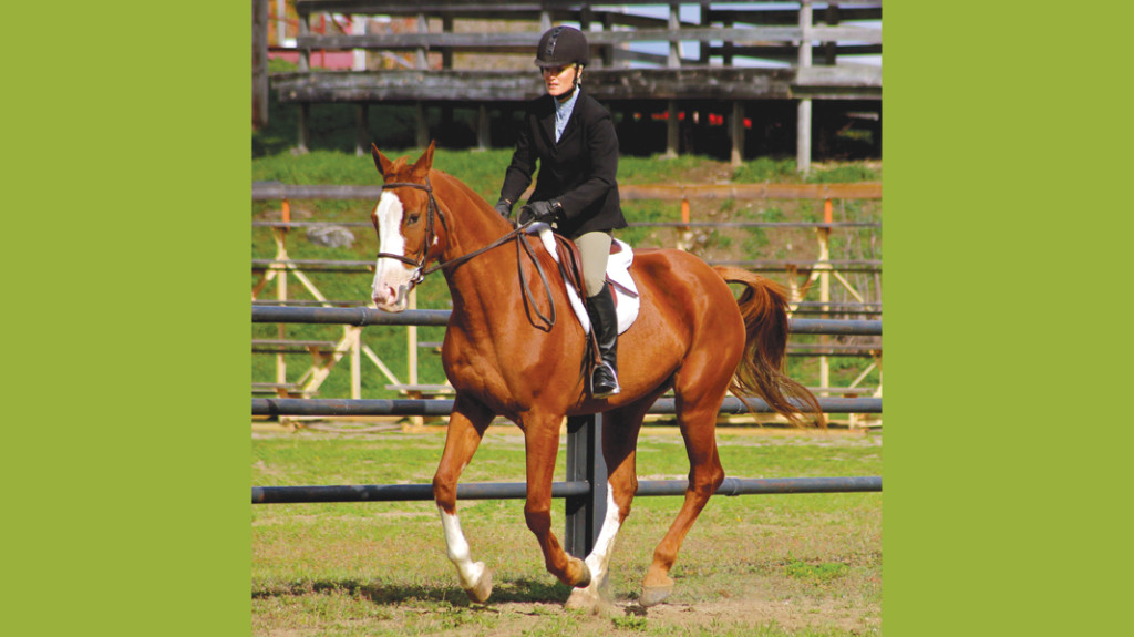 The Perfect Canter depart – Horse Canada