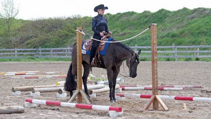 How to Navigate a Trail Gate – Horse Canada