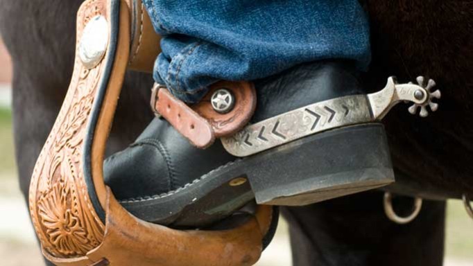 Horse Canada – Canada's Horse Lifestyle Website