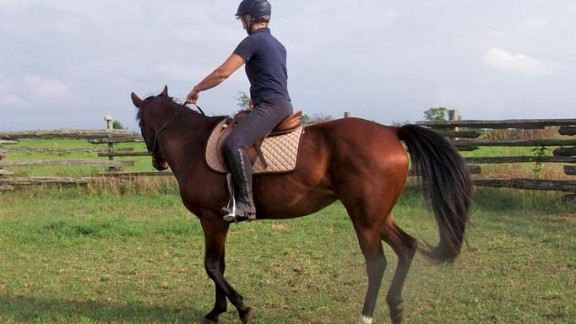 How to Achieve Balanced Turns – Horse Canada