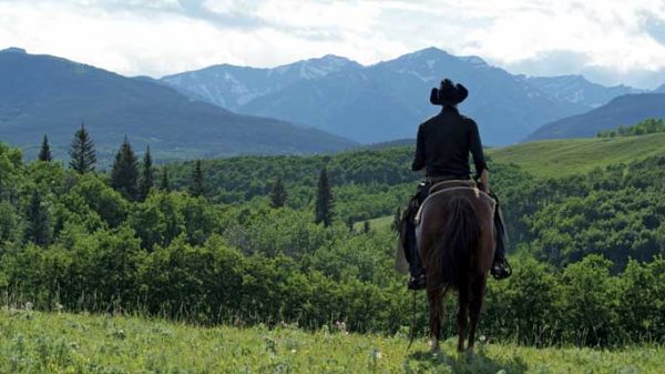 Singing Cowboy: Canadian Singers and Songwriters Inspired by Horses