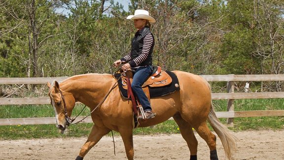 Benefits of Counter Canter – Horse Canada