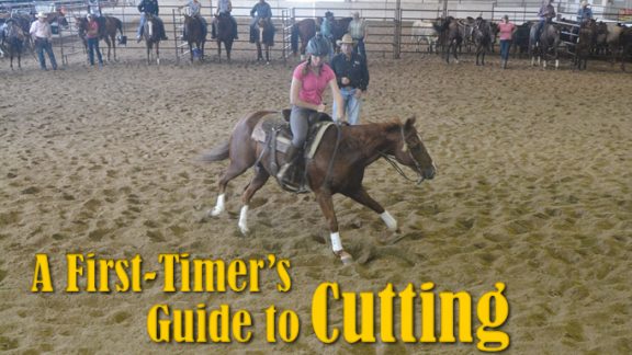 Cutting 101: The Event, Rules and Experience with Liz Brown