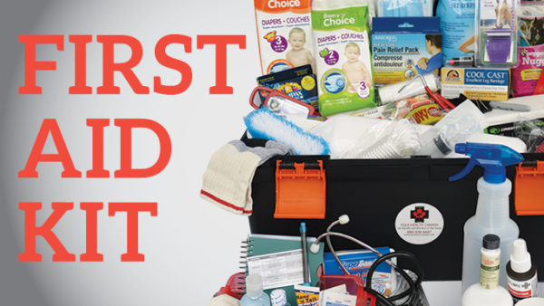 First Aid Essentials: Everything You Need in an Equine First Aid Kit