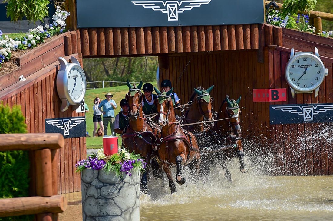 USA's Misdee Wrigley-Miller photo by Shelley Higgins AGM_3550 – Horse ...