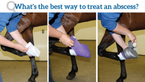 Poultices: The Best Way to Treat Hoof Abscesses in Horses