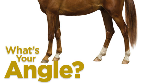 Learn How to Assess Equine Hoof Angles for Optimal Health