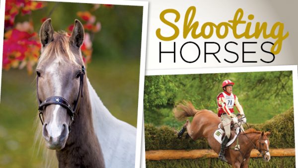 Get Expert Tips and Tricks for Photographing Horses