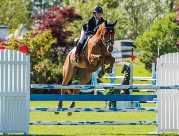 Young Guns! Profiling Show Jumper Olivia Stephenson