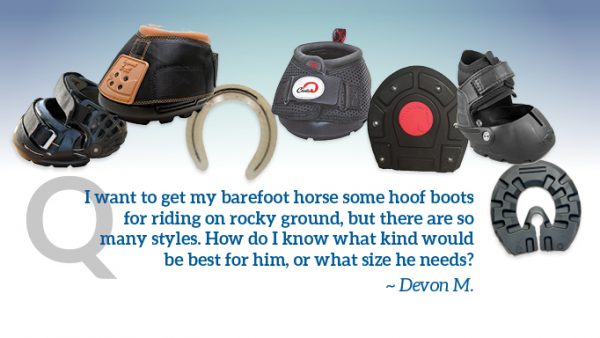 How to Choose the Right Hoof Boot for Your Horse