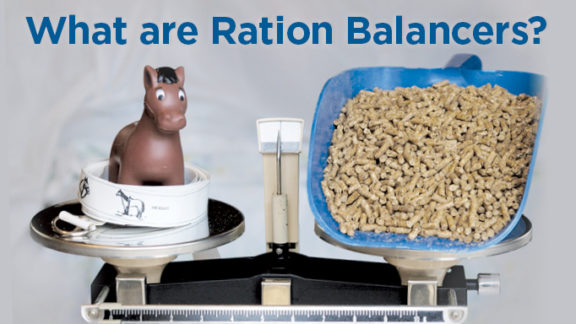 What are Ration Balancers and Do I Need to Feed Them to My Horse?