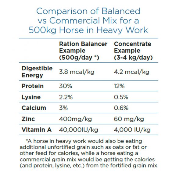 What are Ration Balancers and Do I Need to Feed Them to My Horse?