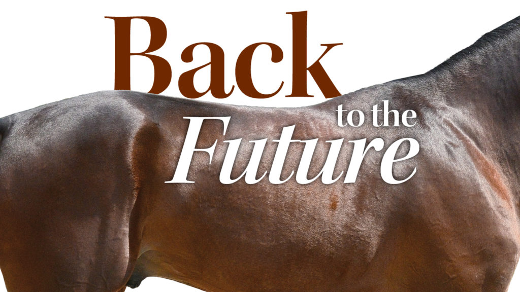 Treating Equine Back Pain with Modern Holistic Modalities