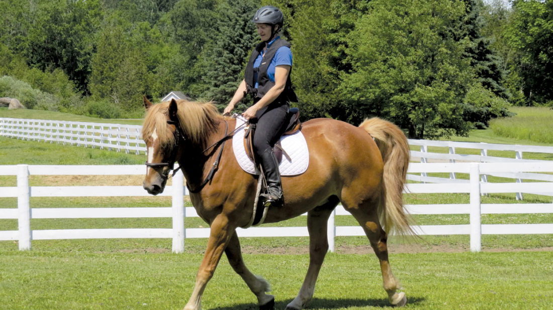 How to Cultivate Confidence After a Horseback Riding Accident