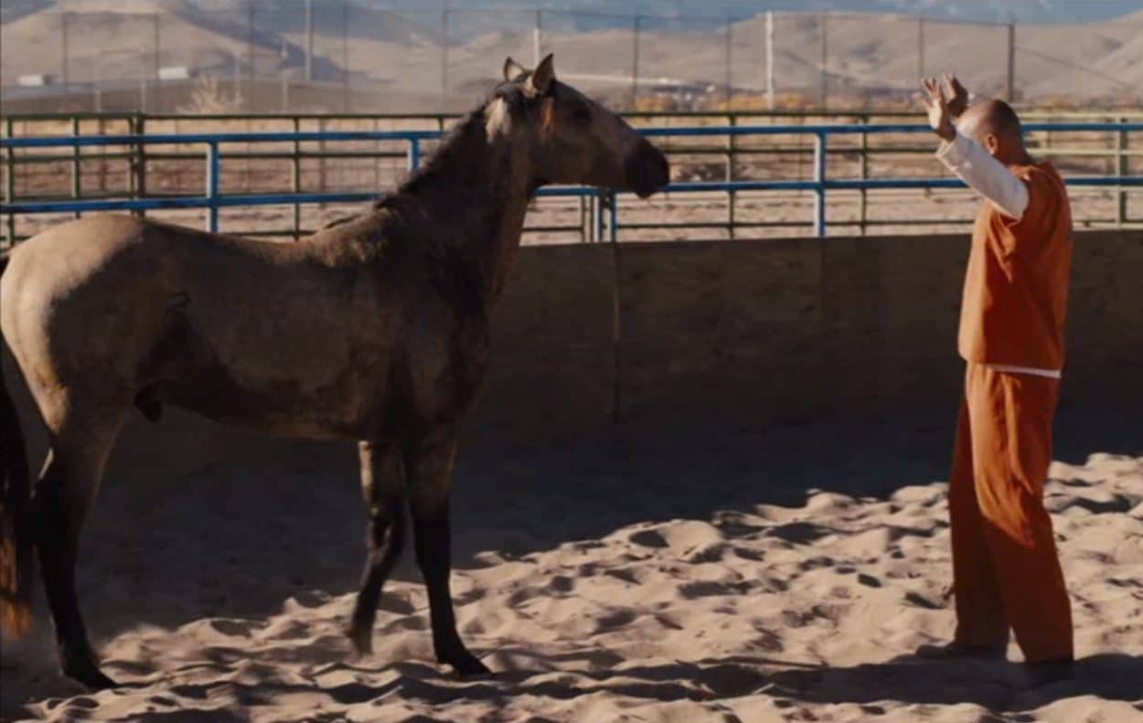 The Five Most Awesome Horse Movies to Stream Right Now