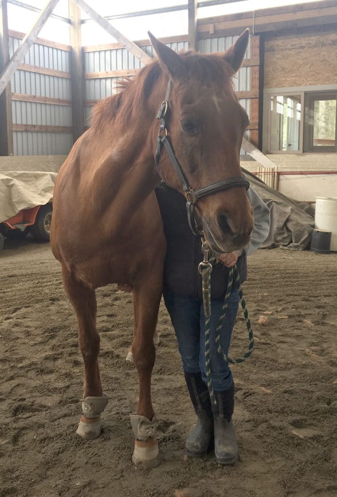 Canadian Researchers Study Horses Helping People with Eating Disorders