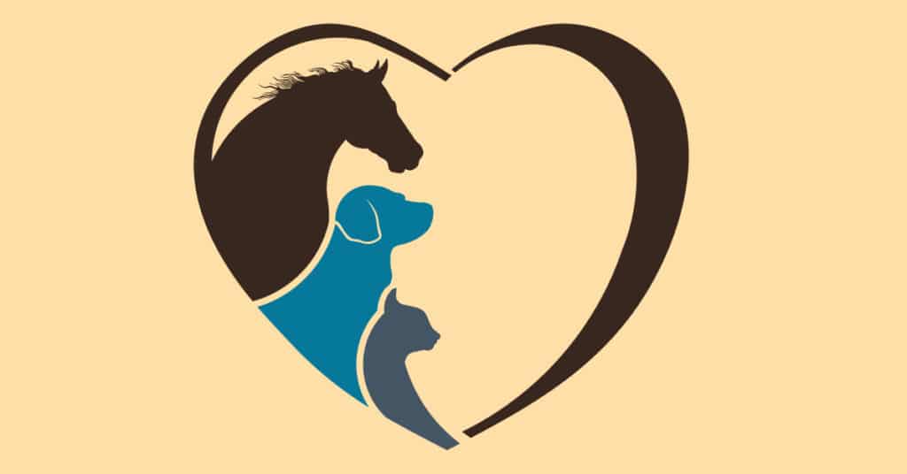 PAWS Patrol: Ontario’s New Welfare Enforcement System Launched