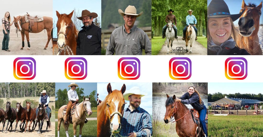 Top 10 Horse People (and horses) to follow on Instagram
