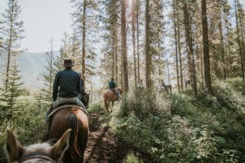 Freedom on Horseback: Heading Out on the Open Trail