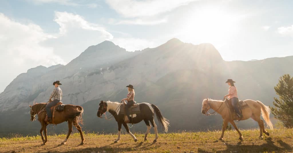 Freedom on Horseback: Heading Out on the Open Trail