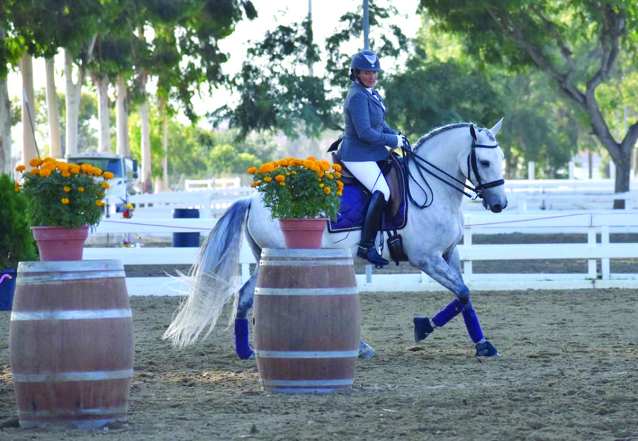 Give the Hot New Sport of Working Equitation a Whirl