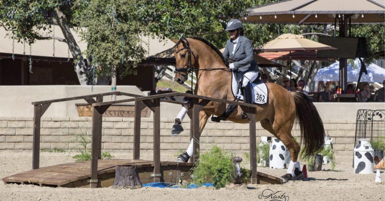Give the Hot New Sport of Working Equitation a Whirl