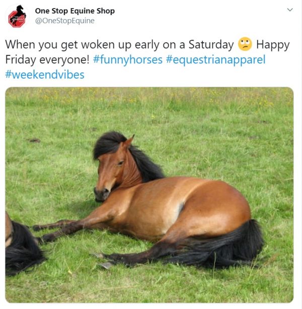 15 Ways Horses Makes Our Lives Better & Funnier
