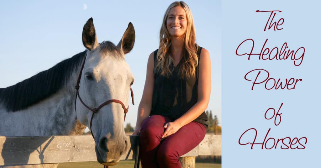 The Healing Power of Horses: Answering A Cry For Help