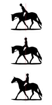 Correct Your Riding Position For Better Confidence and Communication