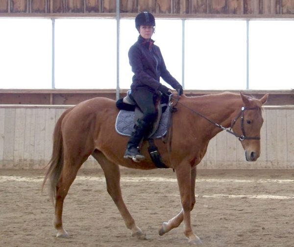 Correct Your Riding Position For Better Confidence and Communication