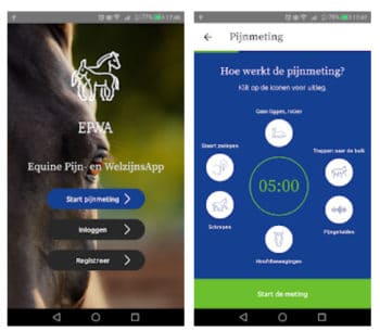 Staying Connected: The 6 Best Horse Apps Right Now