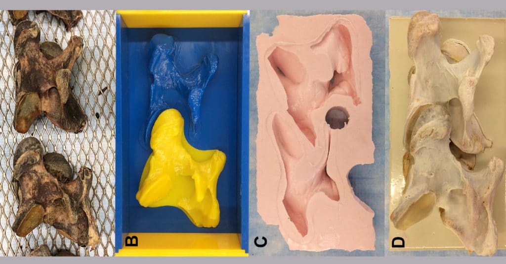 How 3-D Printing is Helping Equine Veterinarians and Students