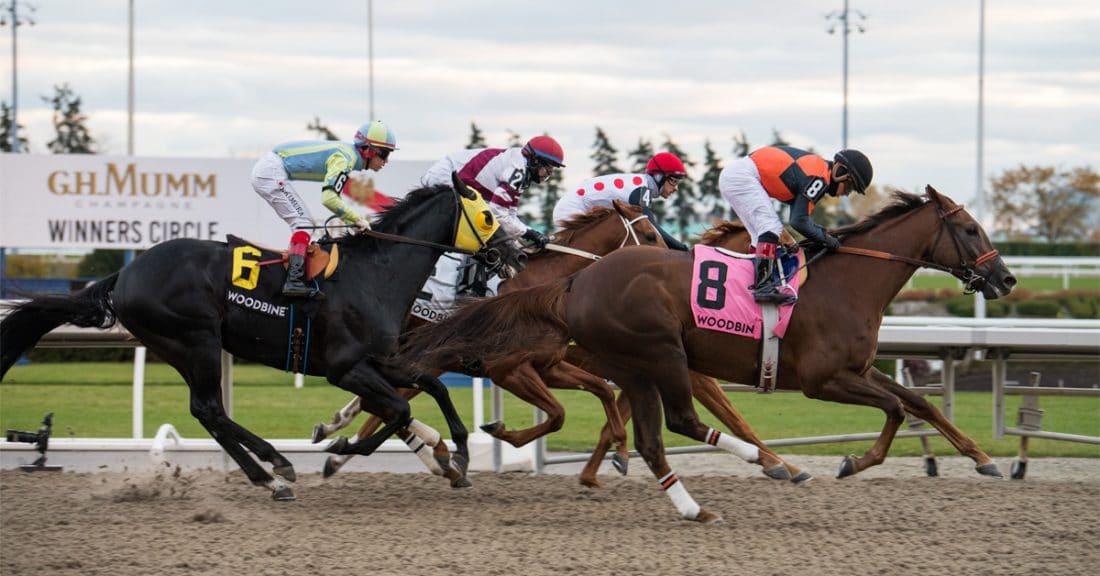 What You Need to Know to Own a Thoroughbred Racehorse