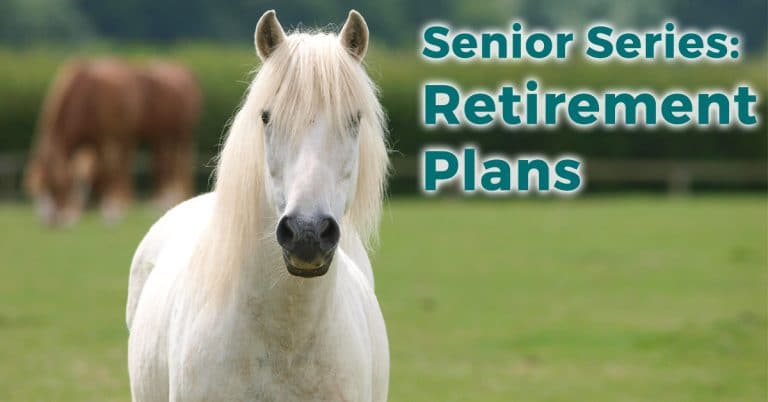 Making a Retirement Plan for Your Senior Horse