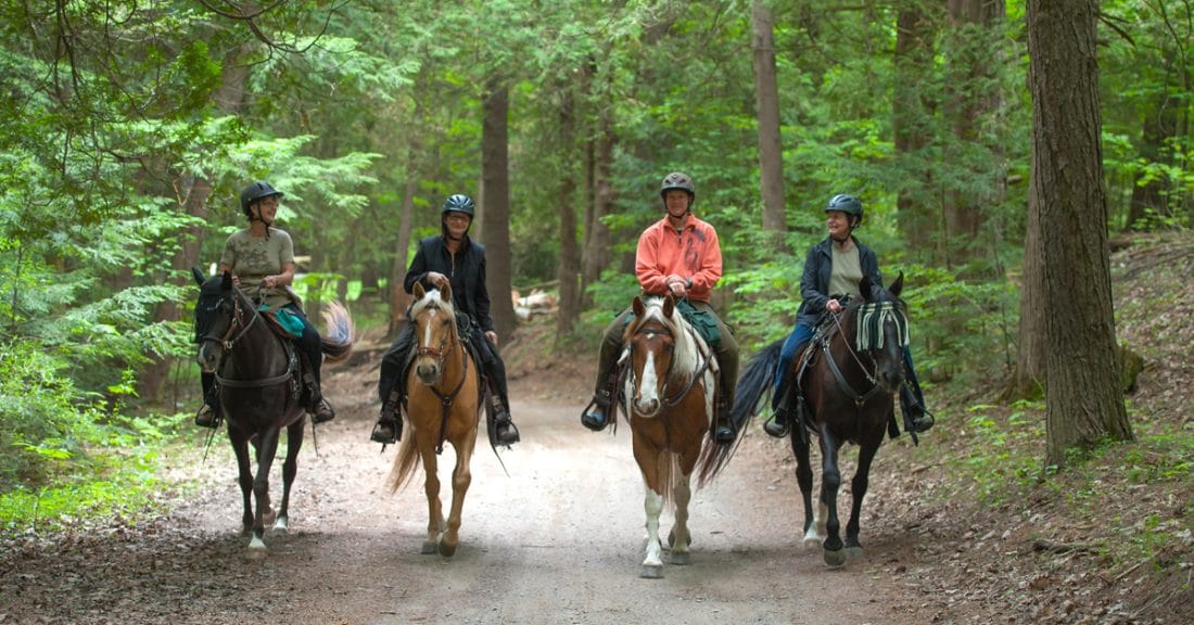 Group Trail Riding Etiquette and Safety Tips