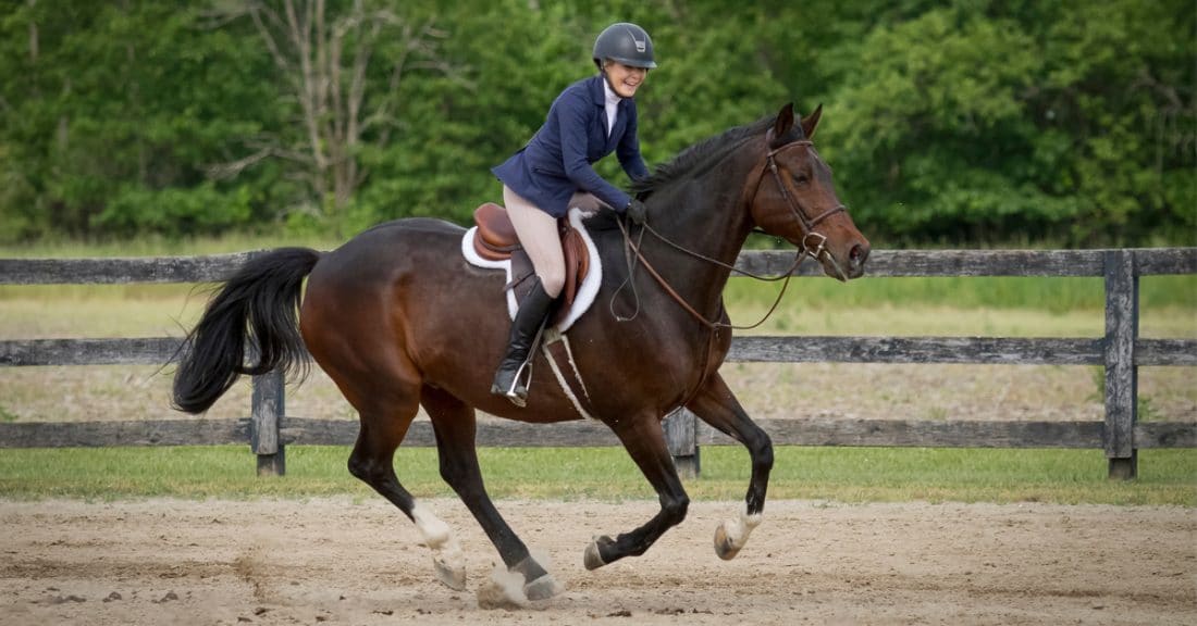 Balancing Your Horse at the Walk, Trot and Canter