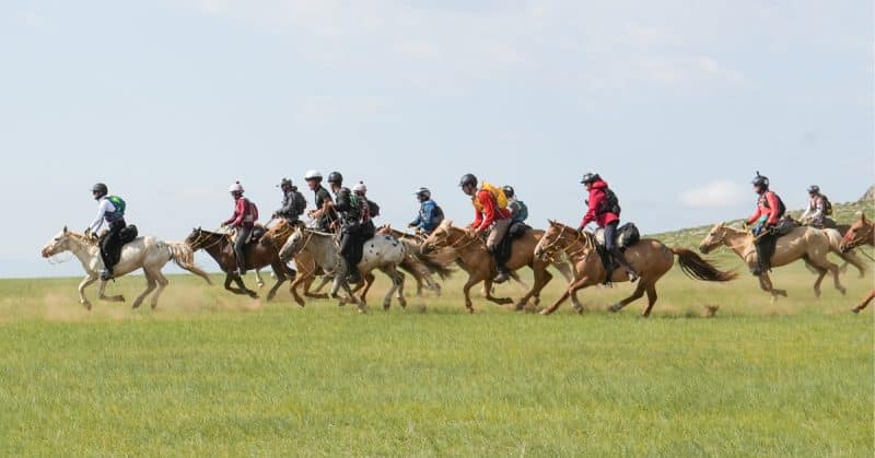 The Mongol Derby, Part 2: Home Team Wins