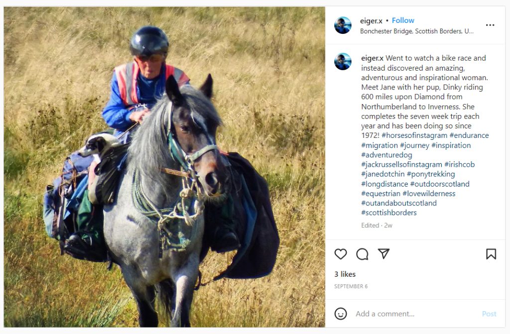 Dotchin, Diamond, and Dinky Ride Again