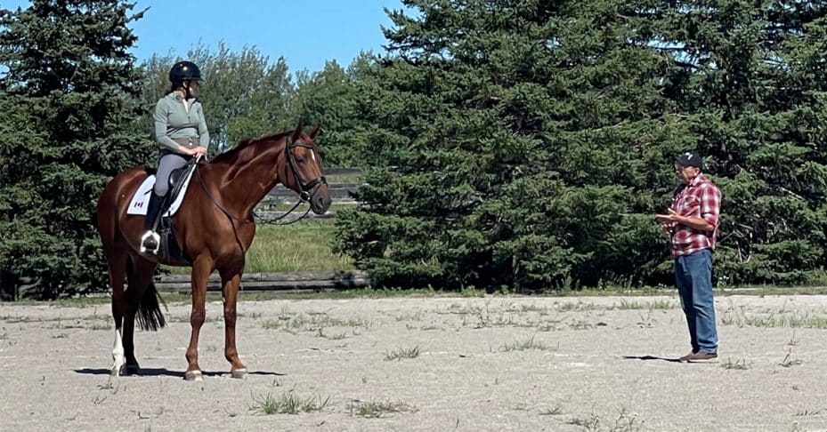 Saddle Fitting Questions Answered