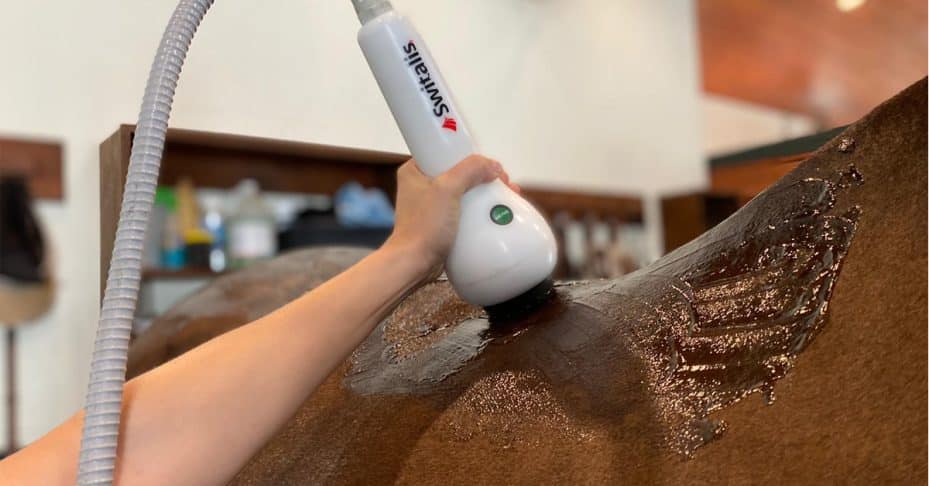 Equine Back Pain Causes and Solutions