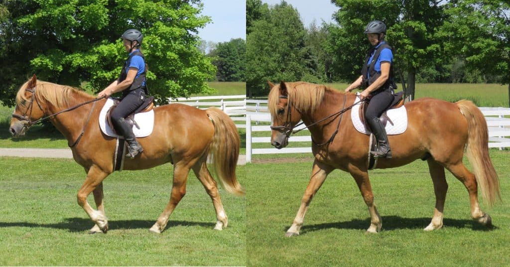How To Stop Losing Your Stirrups