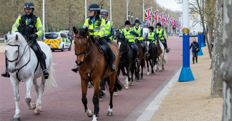 Dean Bennett: Going Behind the Scenes With Heartland's Director