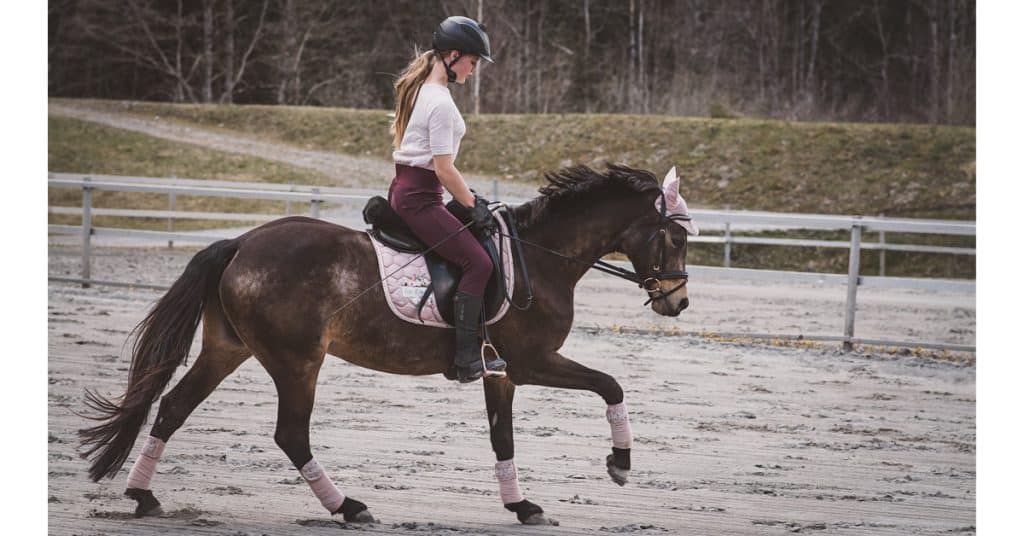 4 Off-Horse Exercises for Improving Your Posture in the Saddle