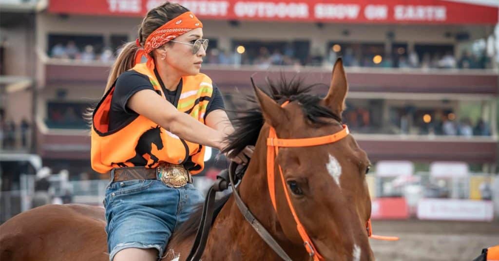 Marengo, Napoleon’s Horse, was an Arabian Stallion