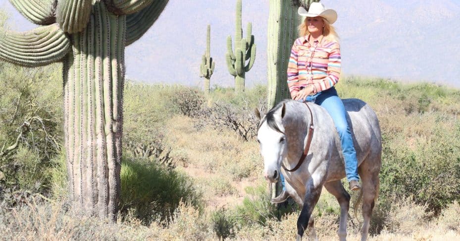 How Horses and Riders Can Beat The Heat