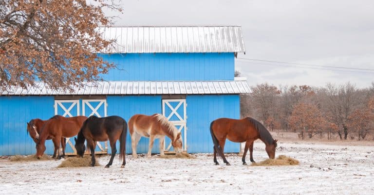 It's Haying Season - So Let's All Stay Safe Out There
