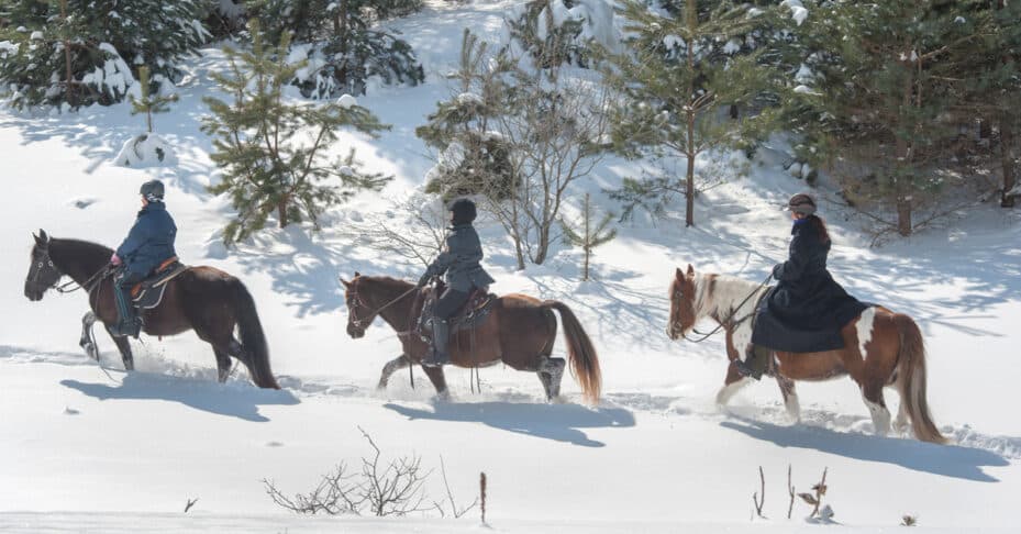 10 Tips For Recovering Your Riding Motivation