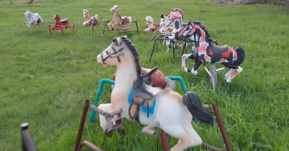 Natural Horsemanship and an Investigative Look at the Science Behind it