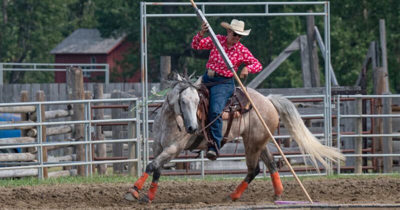 Extreme Cowboy = Extremely Fun!